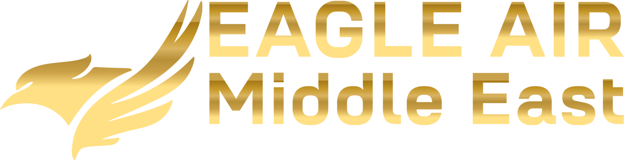 What Are The Responsibilities Of The Pilot - Eagle Air Academy